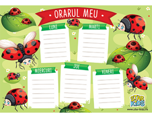 Orar cu Albinuțe - Pachete de absolvire